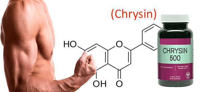 Chrysin, what is it for in 500 and 100 mg. Does it work with Tribulus ...